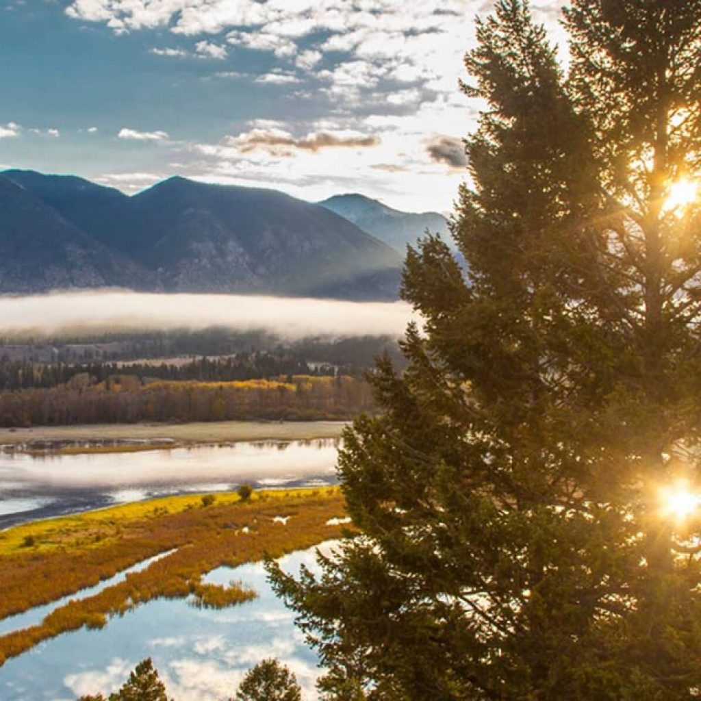 New eDNA project STREAM launching Spring/Summer 2019 - Living Lakes Canada