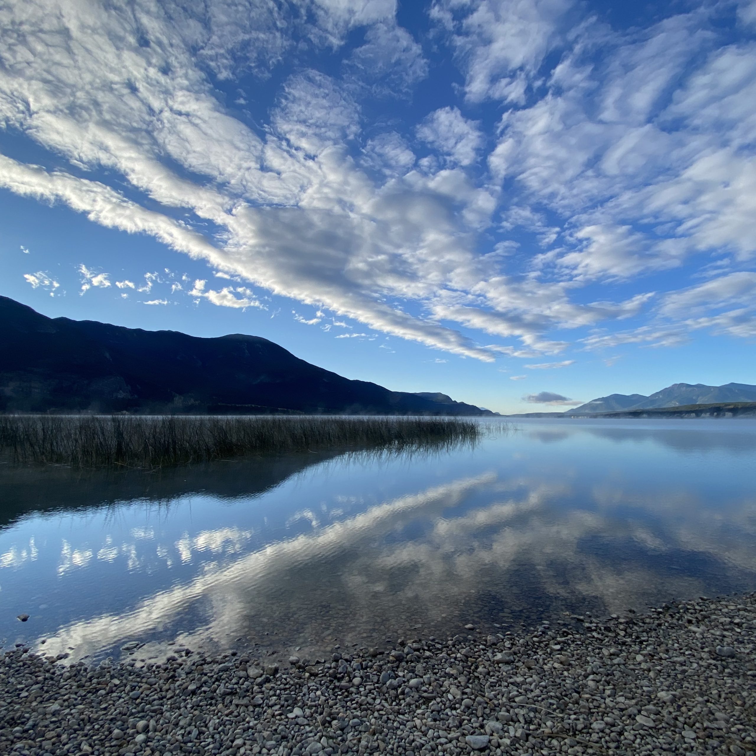 Columbia Lake foreshore survey report now available - Living Lakes Canada