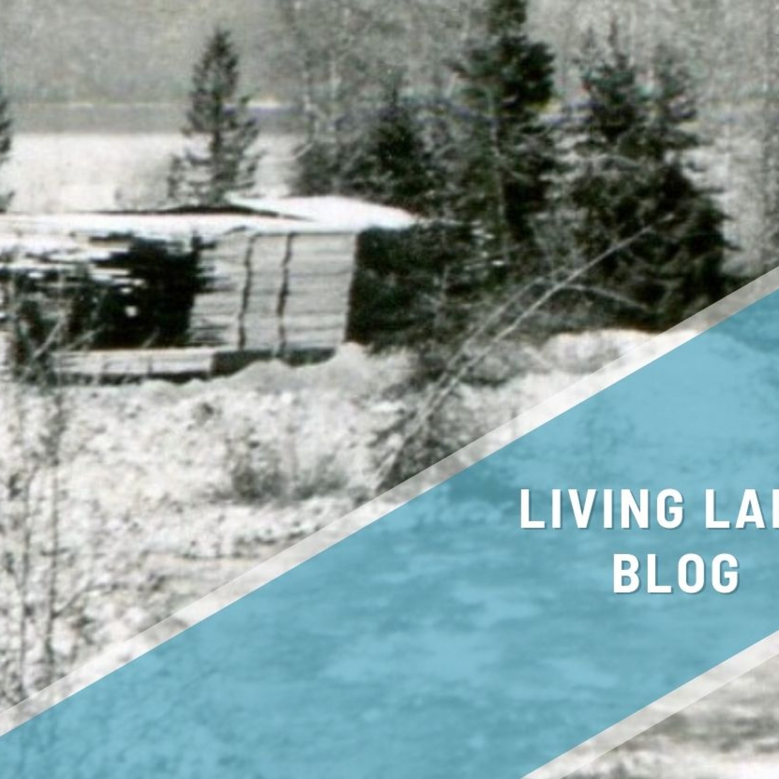 Mapping the way to restore an old sawmill site - Living Lakes Canada