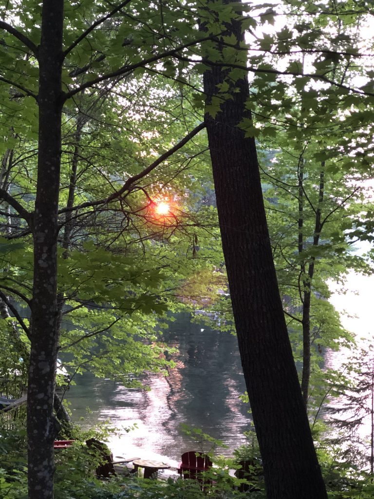 Linden Gossen - Haliburton Lake - Living Lakes Canada