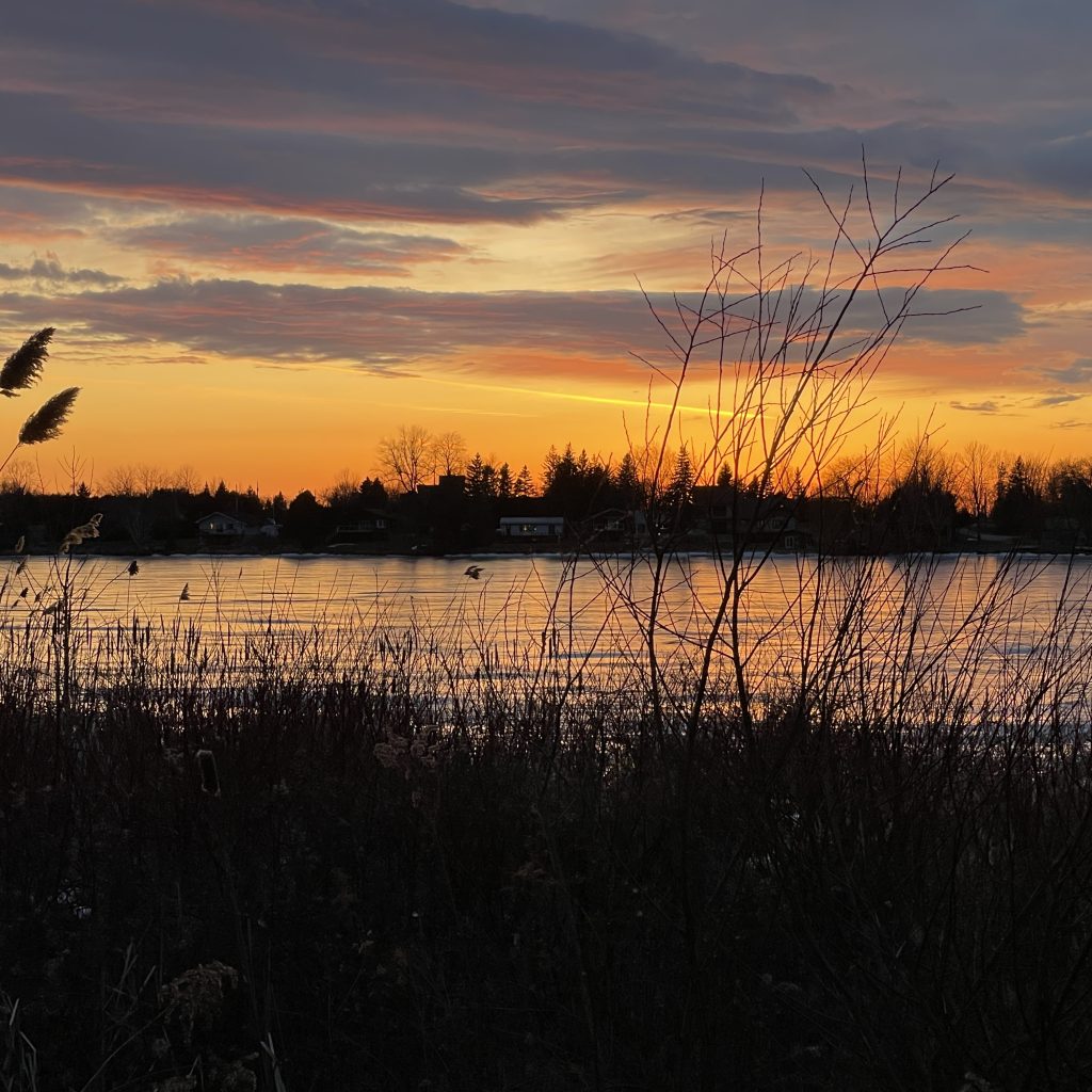 Penny Knapp - Lake Scugog - Living Lakes Canada
