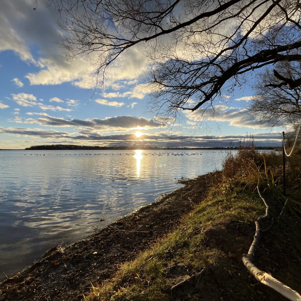 Penny Knapp - Lake Scugog - Living Lakes Canada