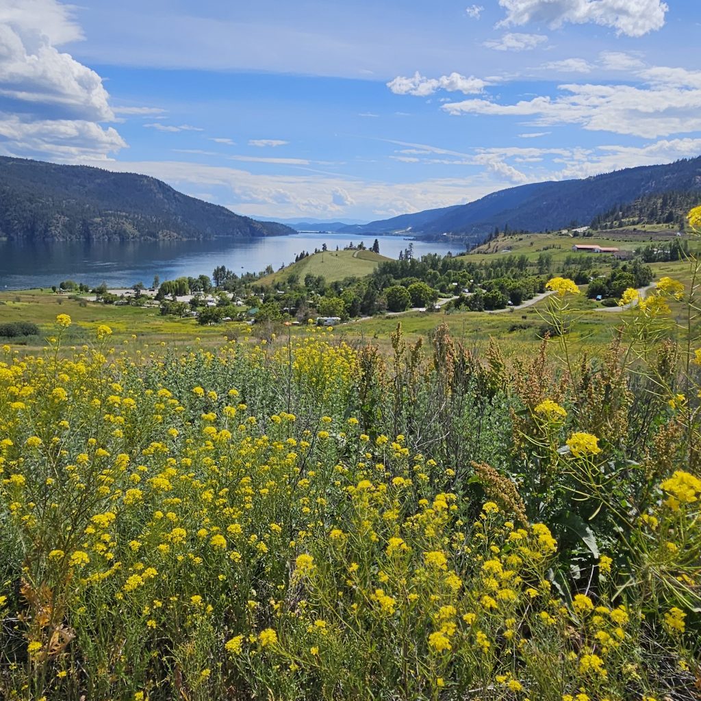 Andreas Tobler - Kalamalka Lake - Living Lakes Canada